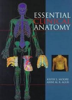 Essential Clinical Anatomy – Internacional Libros